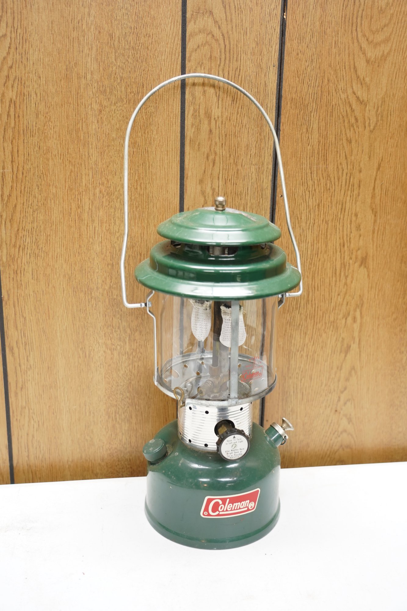 Coleman Green Color Gas Lantern #42116 | Auctionninja.com
