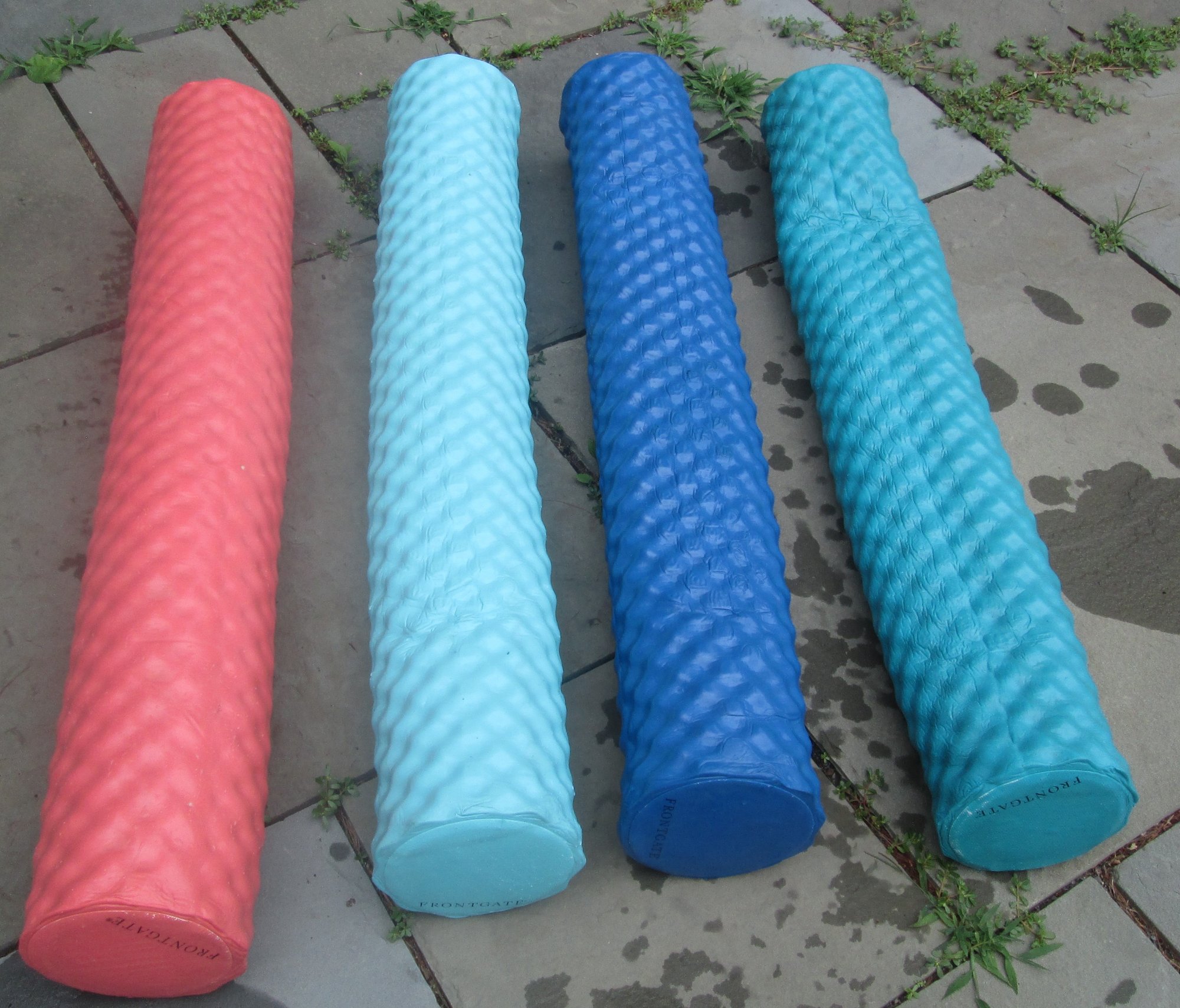 Frontgate Fat Noodle Floats #7253 | Auctionninja.com