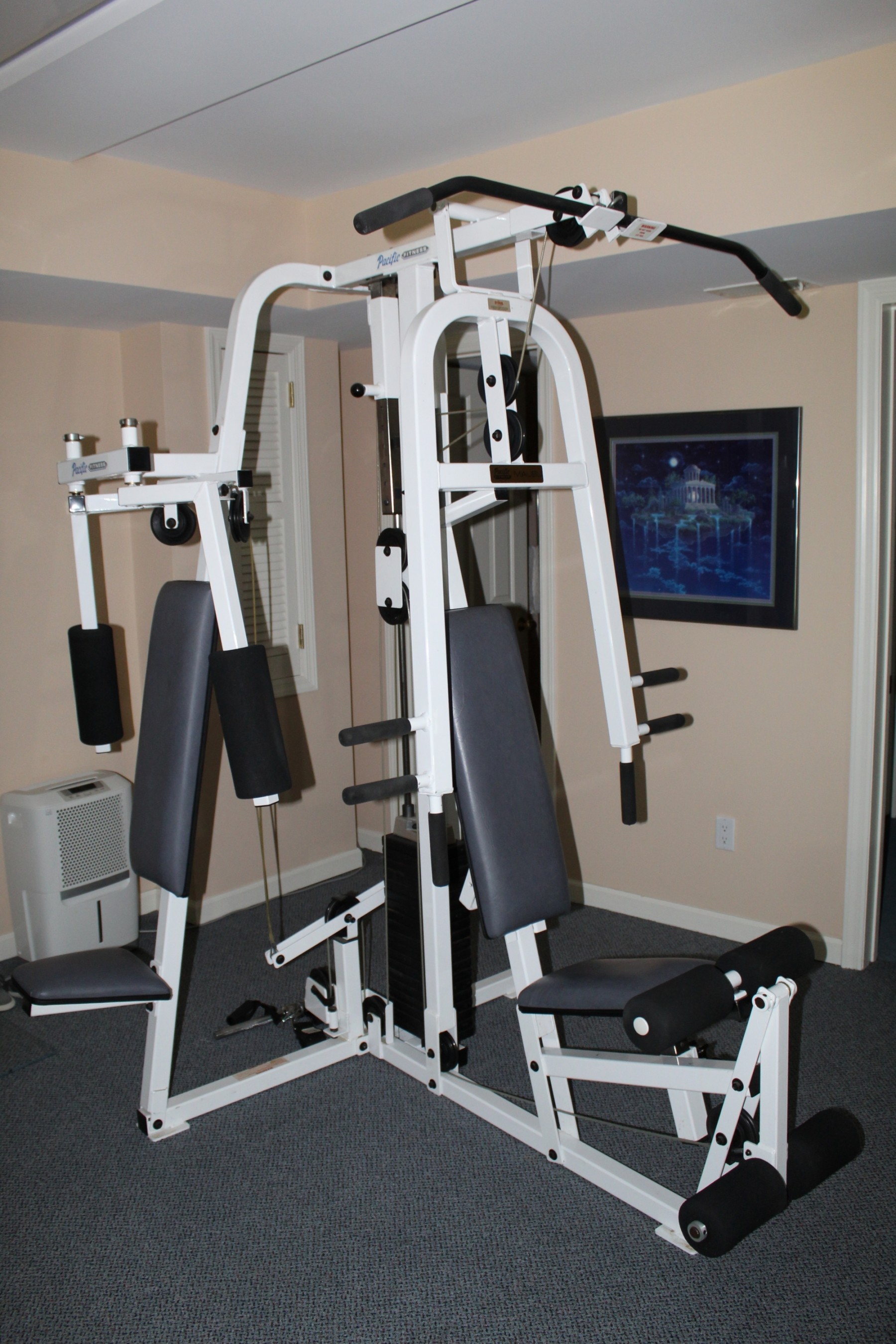 Pacific Fitness Malibu Home Gym #622393 | Auctionninja.com