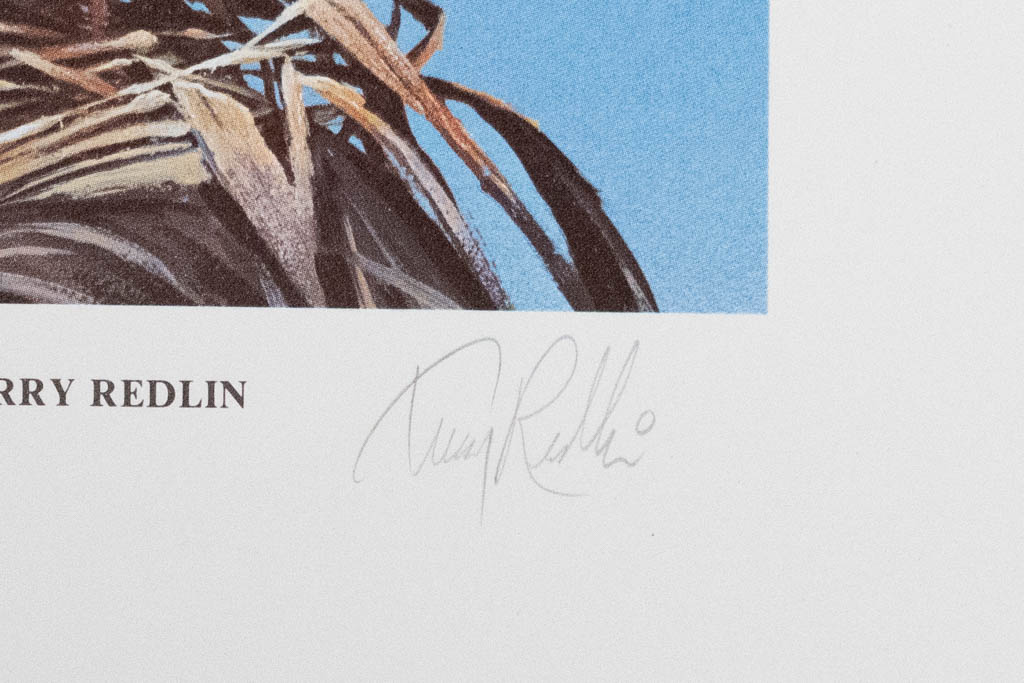 1984 Waterfowl USA Limited Edition Print Signed And Numbered By Terry ...