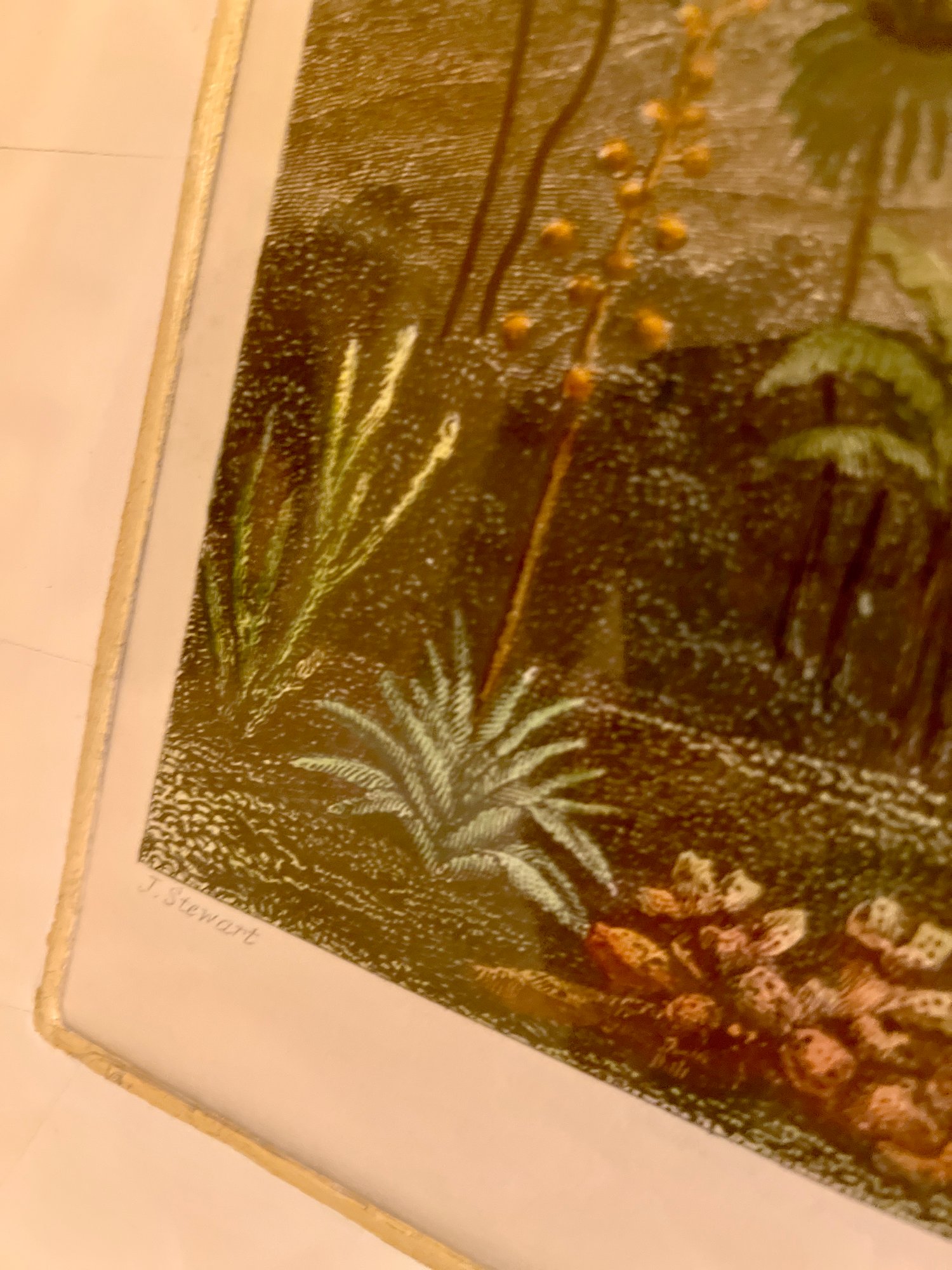 (Z) ANTIQUE J.STEWART HAND COLORED ENGRAVING "MOUNTAINS, HILLOCKS ...