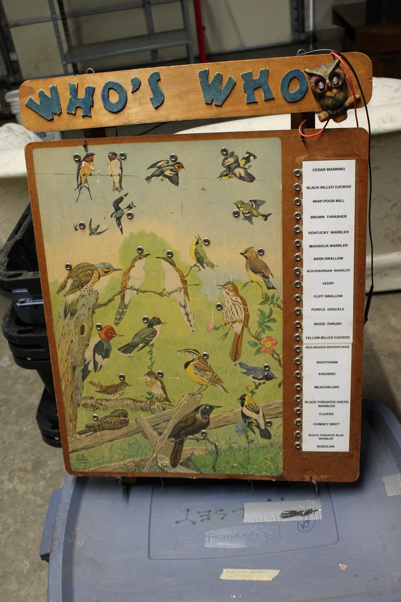 136 ~ Whos Who Bird Interactive Nature Museum Display #20762 ...