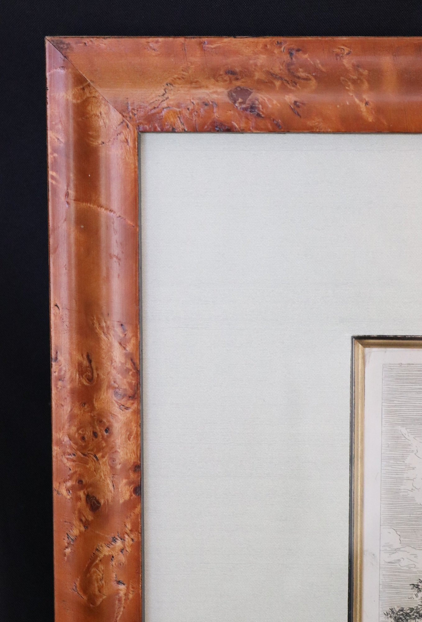 The Great Ash At Carnock Etching 1825 By Listed Artist Jacob George ...