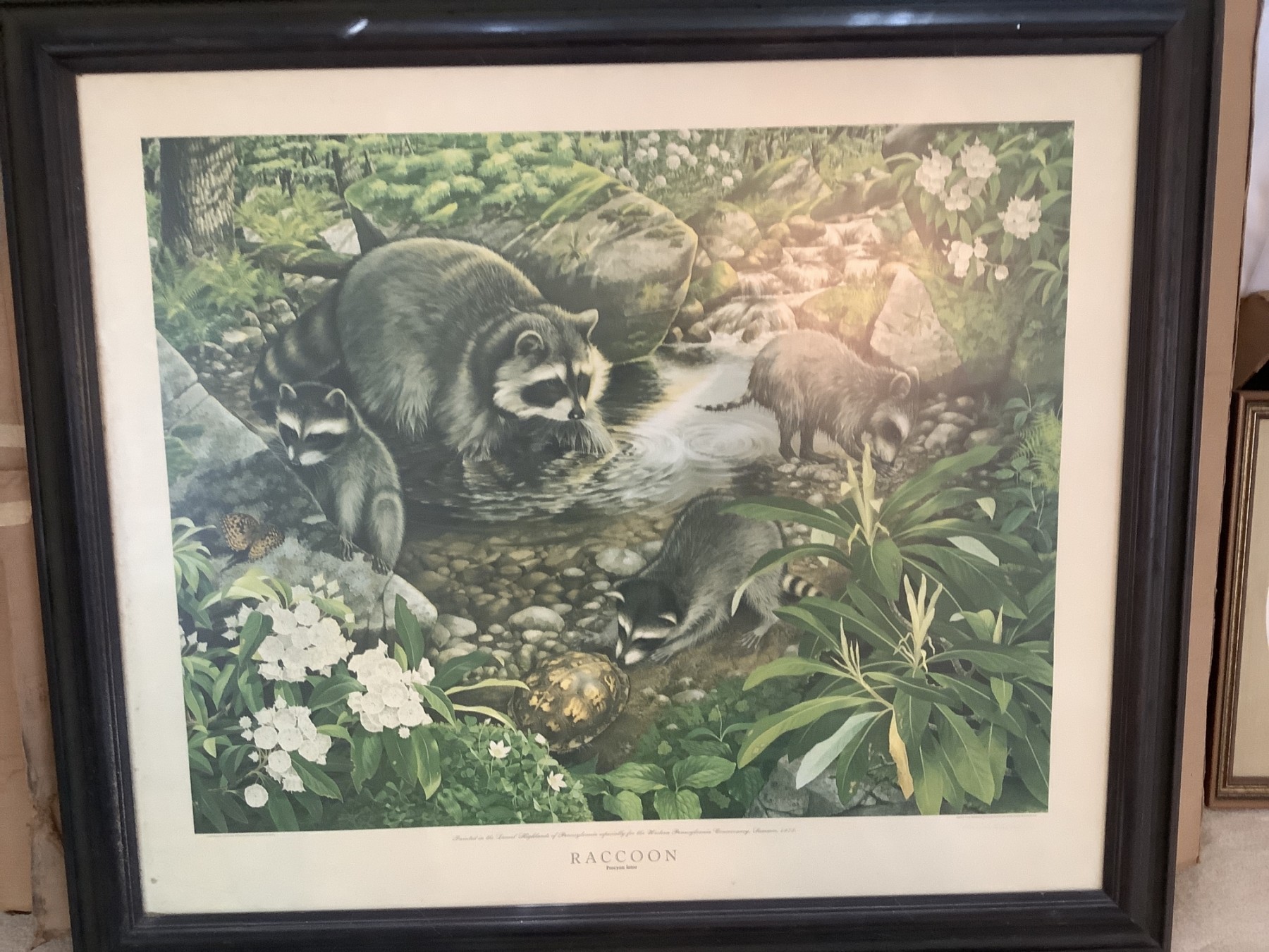 Don Whitlatch Large Raccoon Limited Edition Signed Print 263/1500 #3209 ...