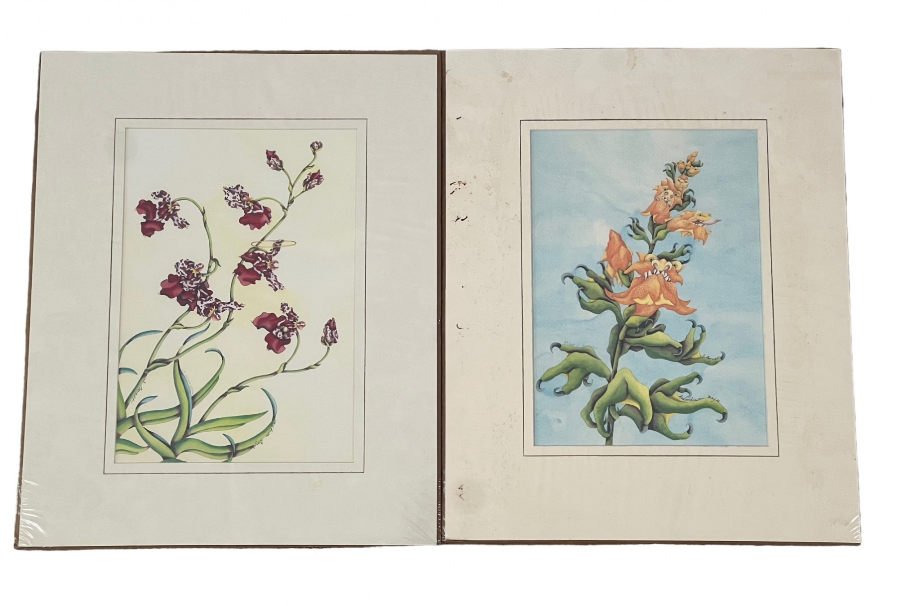 (2) COLOR PRINTS OF INTERESTING FLOWERS #37788 | Auctionninja.com
