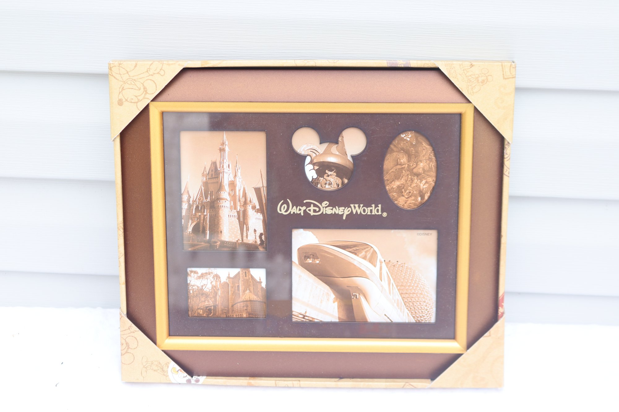 Walt Disney World Frame (W-88) #37240 | Auctionninja.com