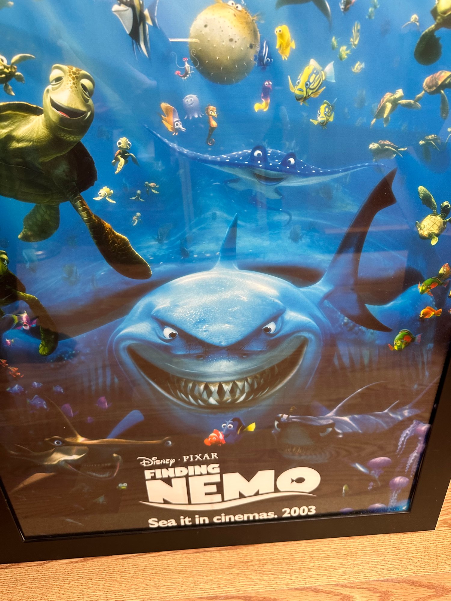 Framed Finding Nemo Poster #5085 | Auctionninja.com