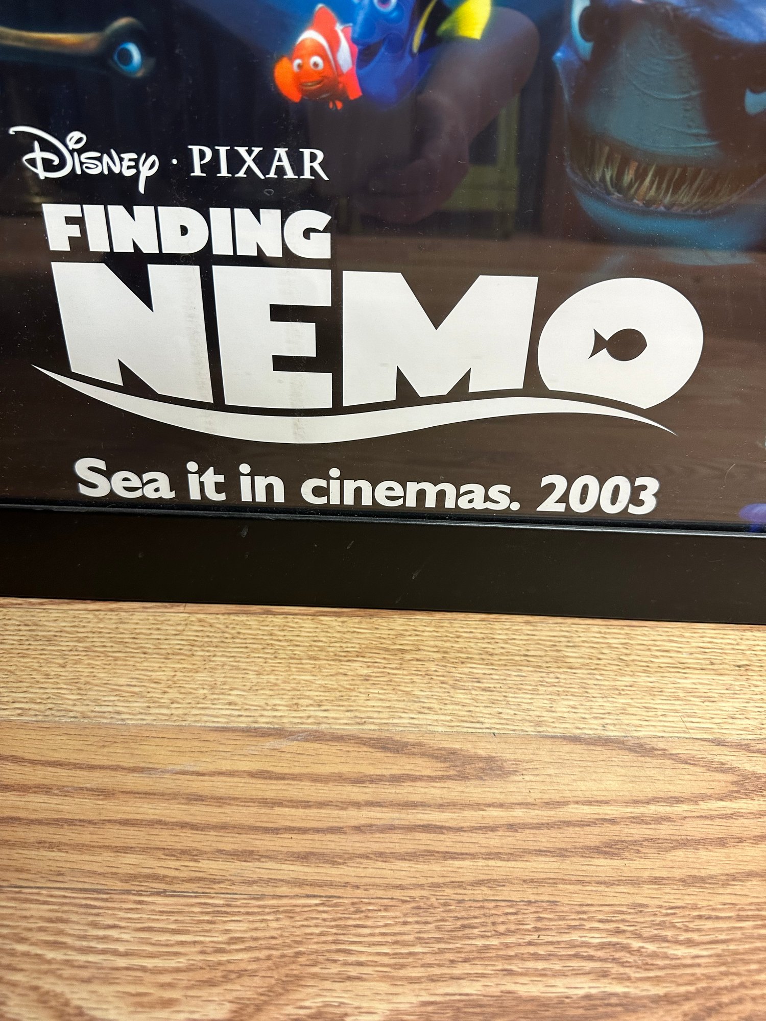 Framed Finding Nemo Poster #5085 | Auctionninja.com