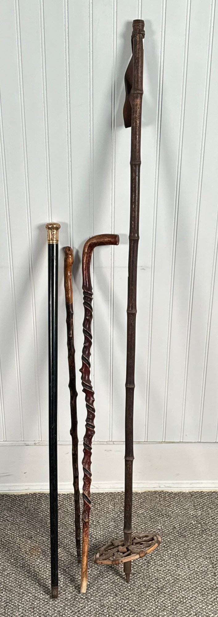 Four Antique Canes And Ski Pole (CTF10) #37456 | Auctionninja.com