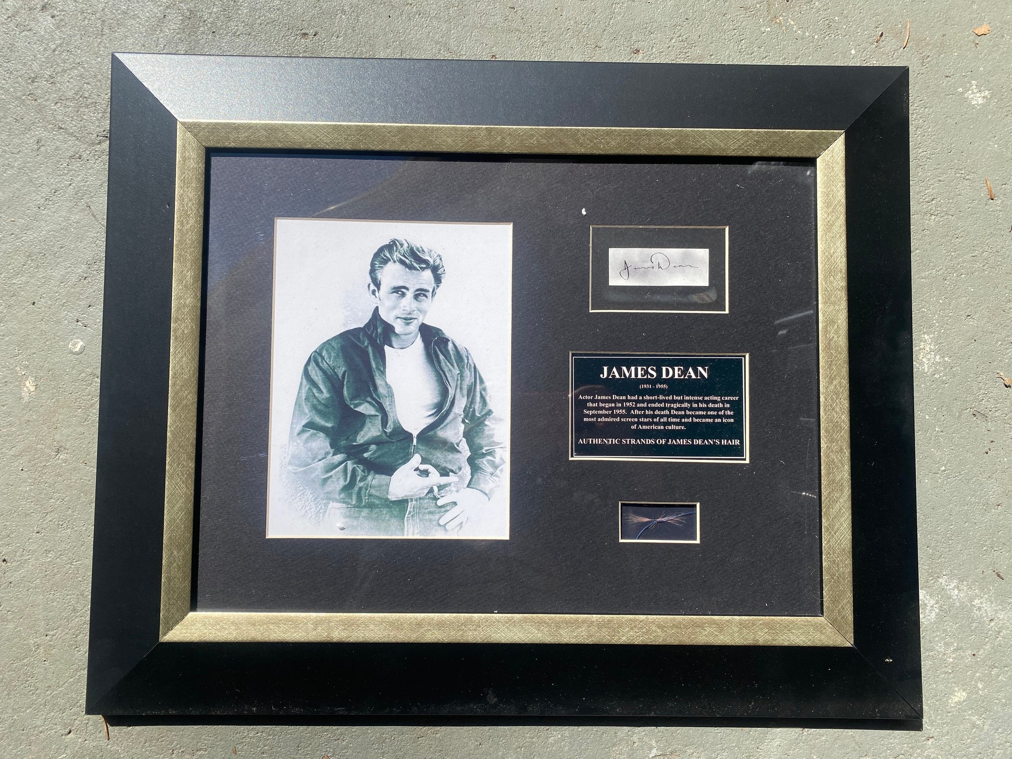 AUTHENTIC STRANDS OF JAMES DEAN'S HAIR, Framed #29907 | Auctionninja.com