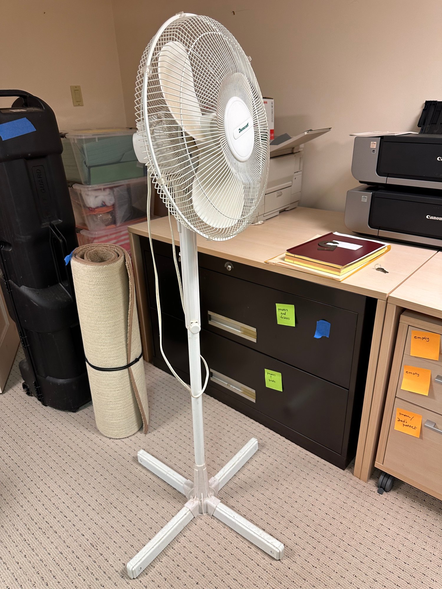 Fan #30731 | Auctionninja.com